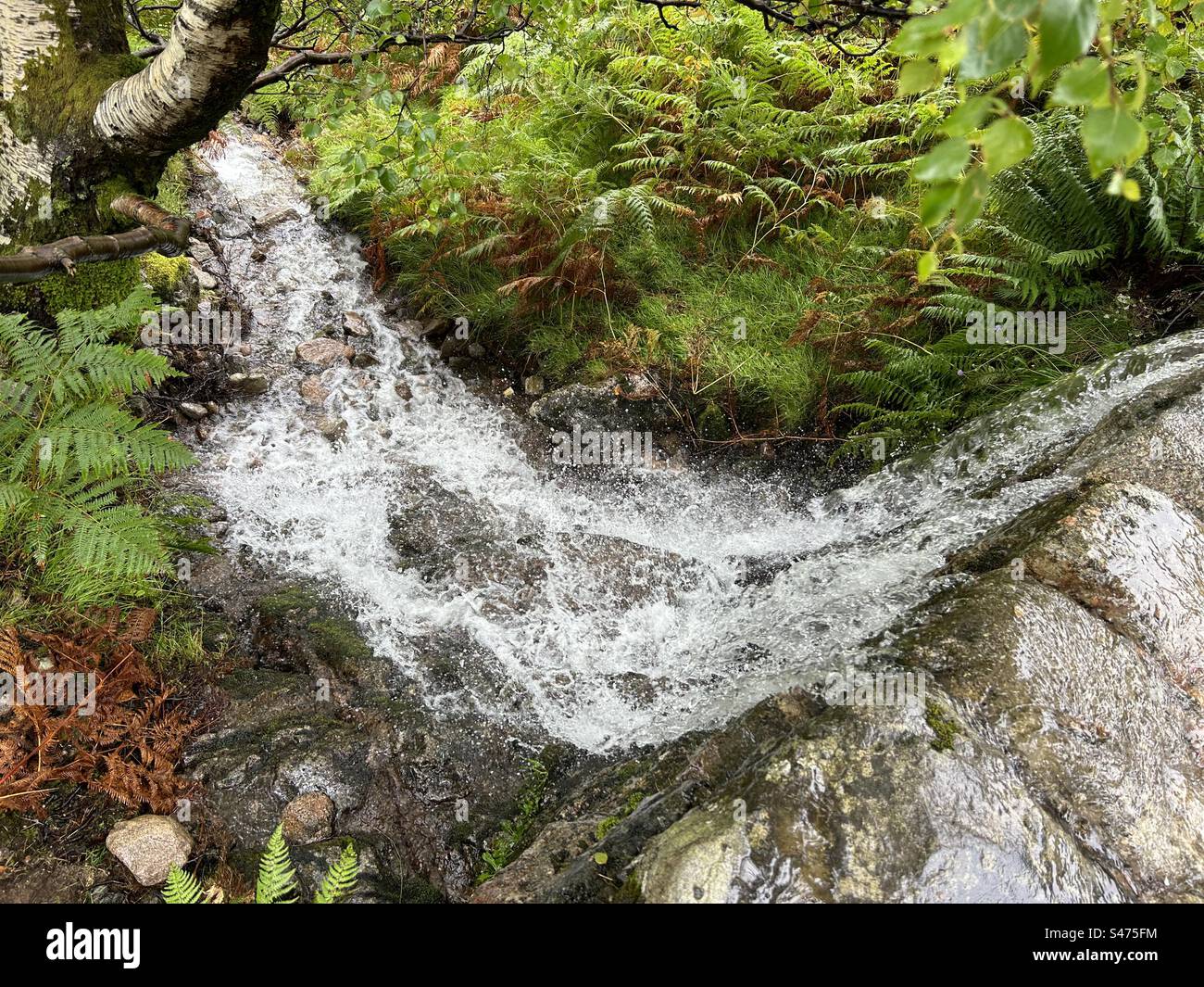 Waterfall on Ben Nevis, near Fort William, Scotland. Highest mountain ...