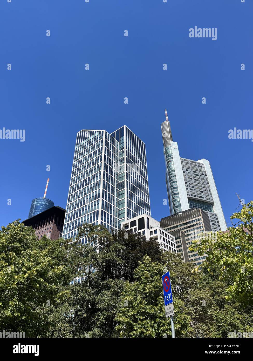 High rise trees hi-res stock photography and images - Alamy