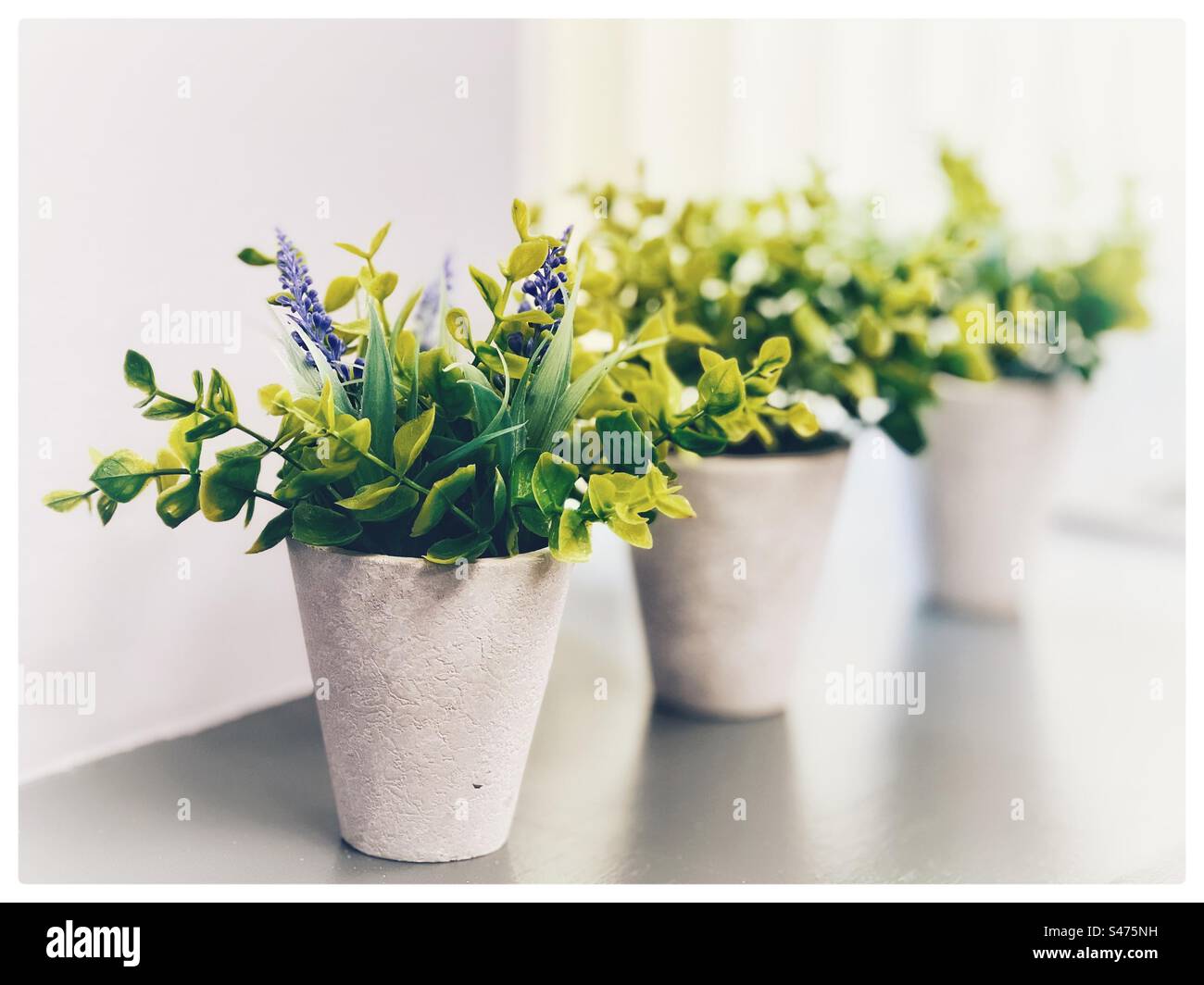 Simple floral hi-res stock photography and images - Alamy