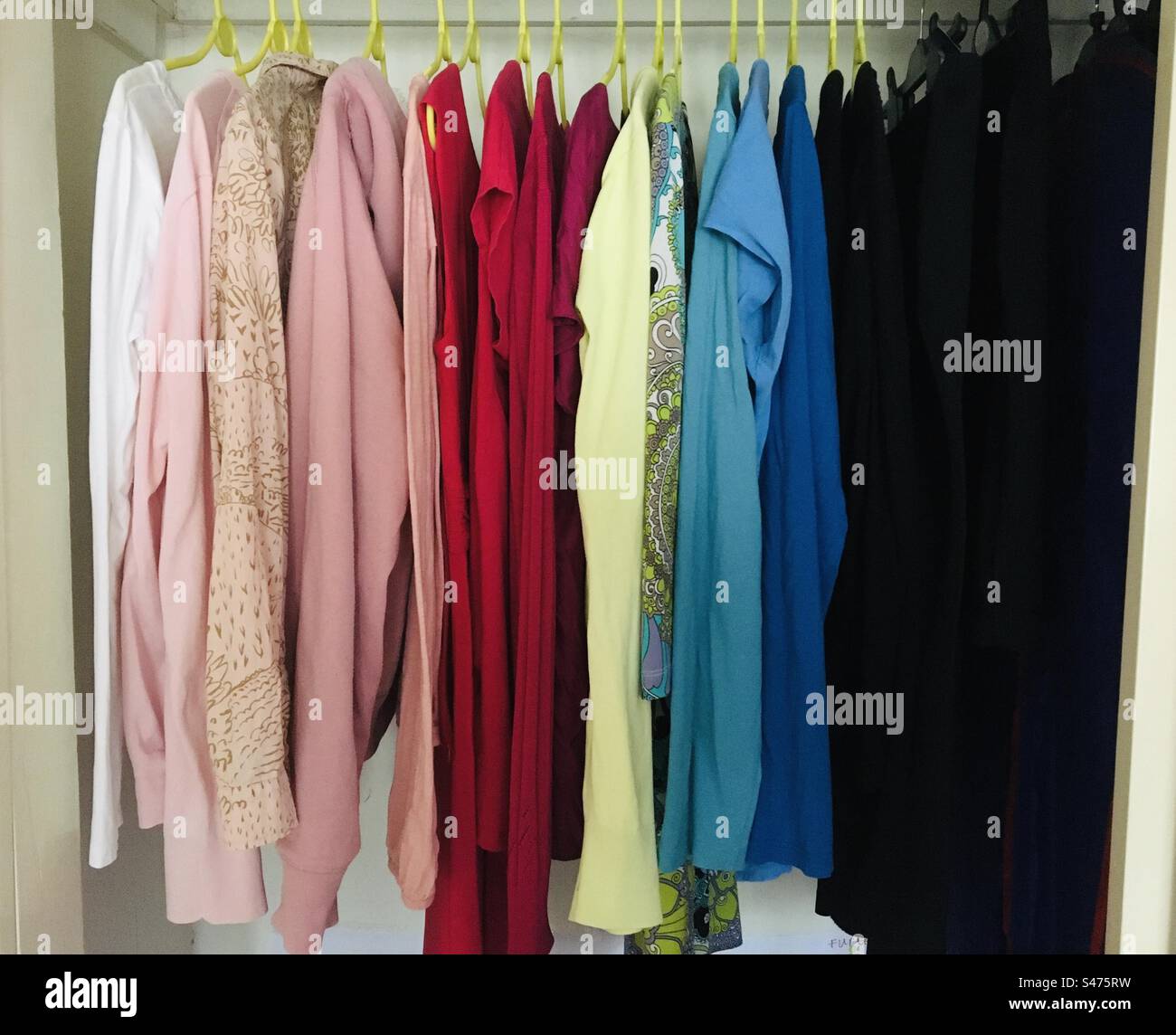 Organised organisation hi-res stock photography and images - Alamy