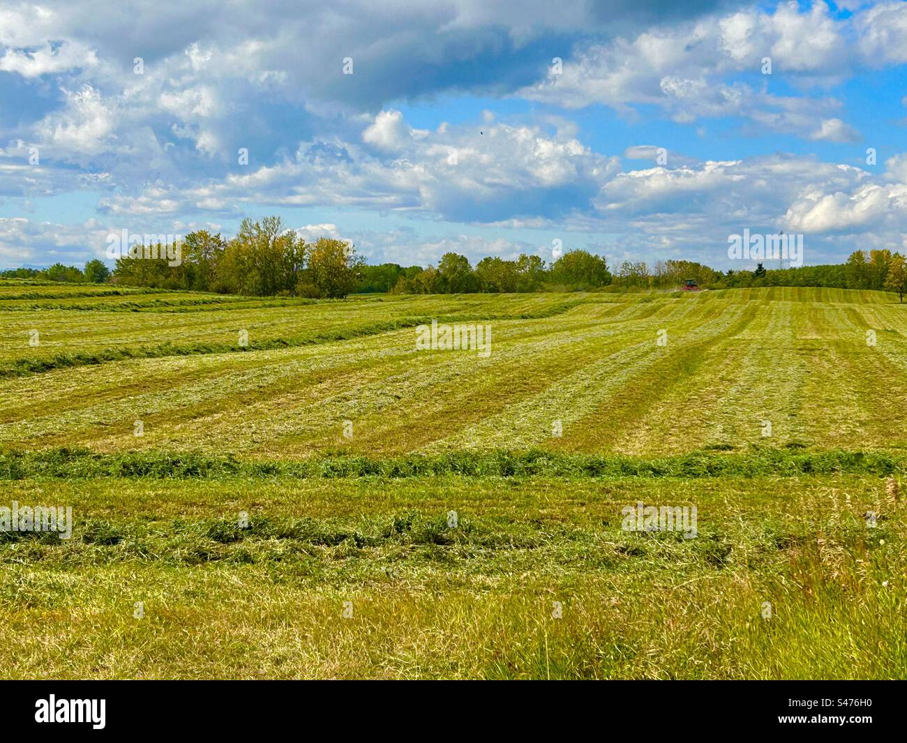 Canadian prairie hi-res stock photography and images - Alamy