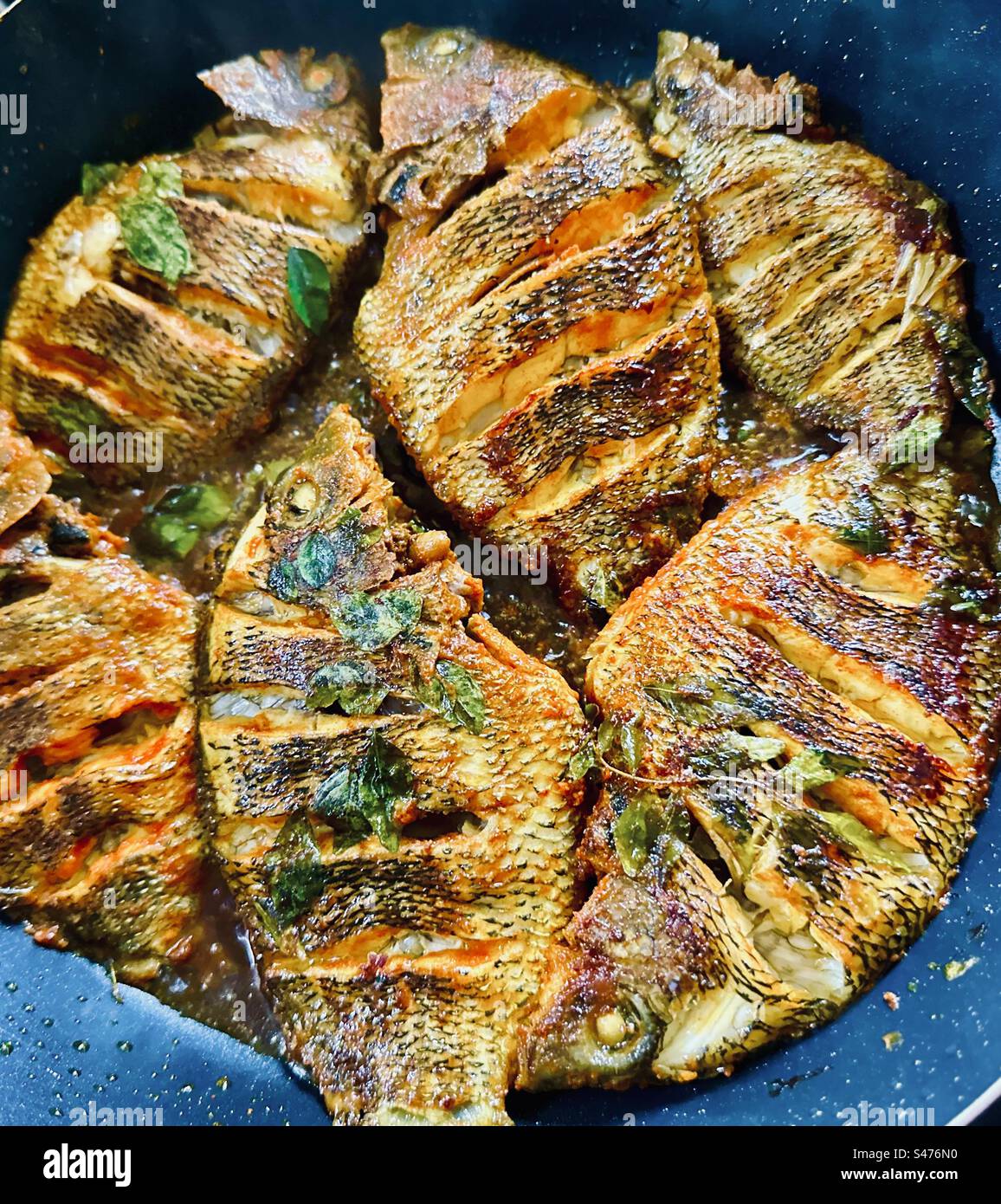 Pearl spot fish fry hi-res stock photography and images - Alamy