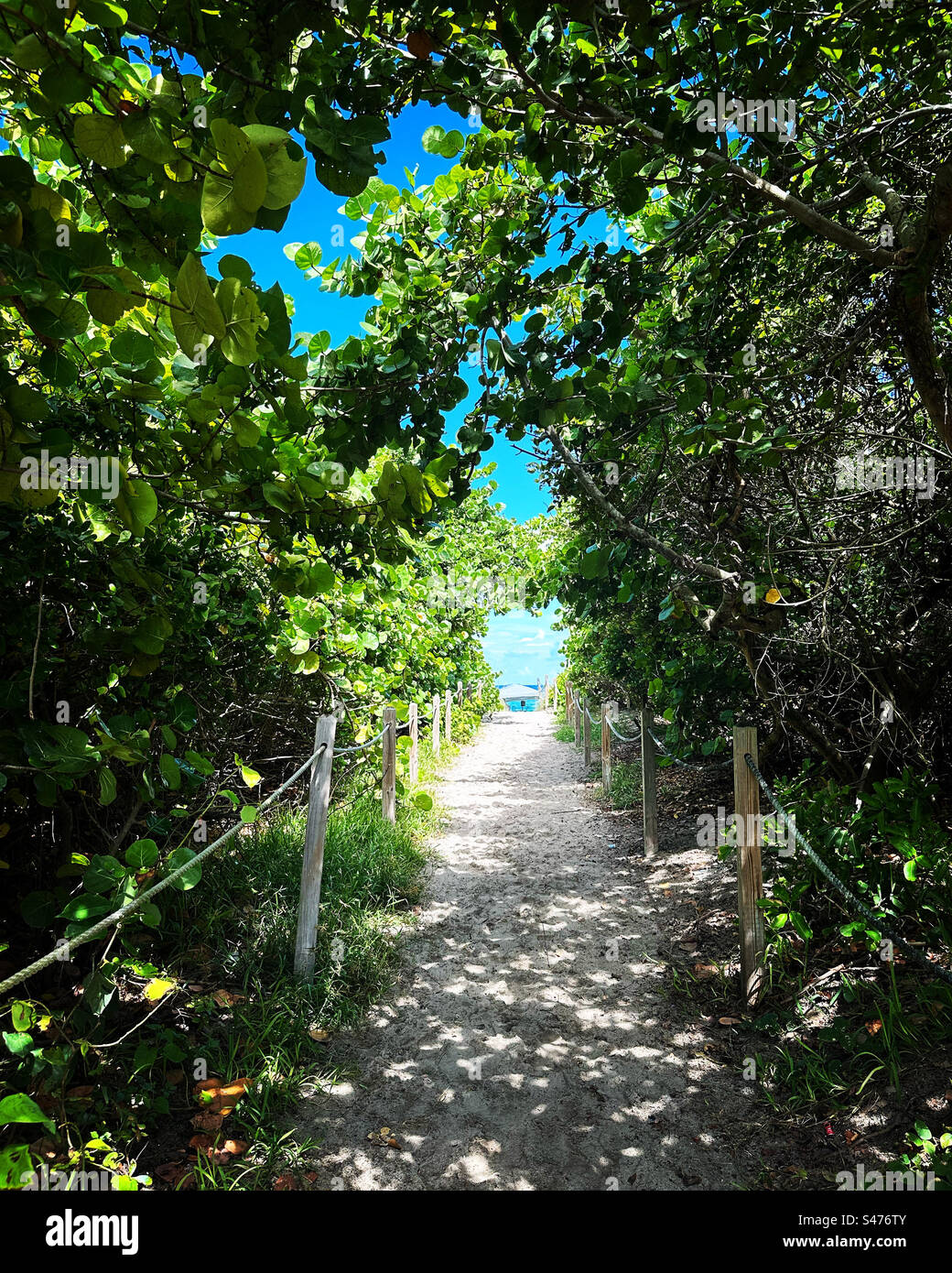 Pathway to nature hi-res stock photography and images - Alamy