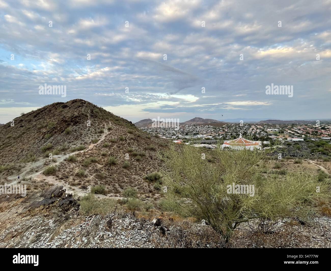 Palo verde overlook hi-res stock photography and images - Alamy