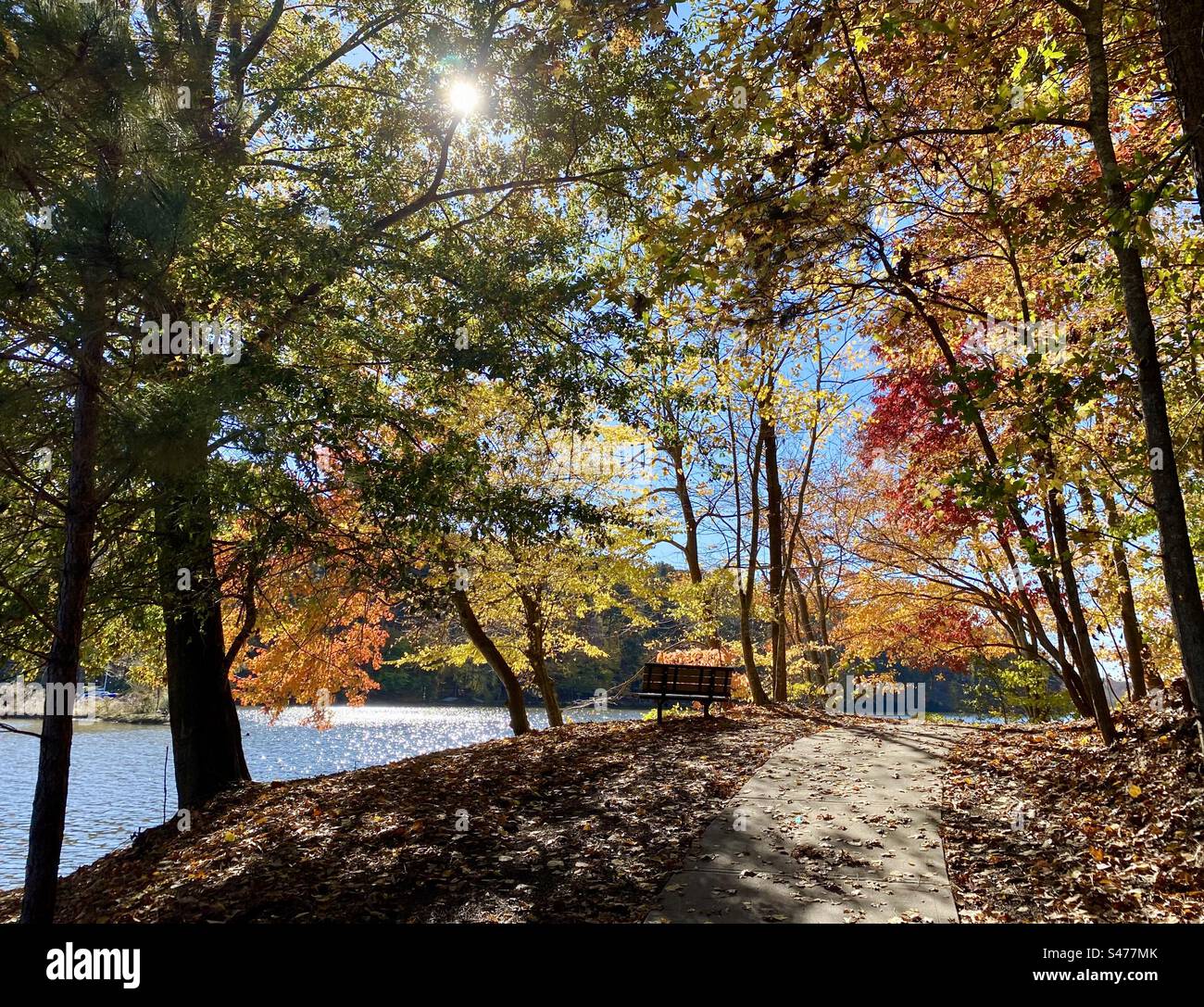 Autumn sunny lakeside trail in Georgia Stock Photo - Alamy