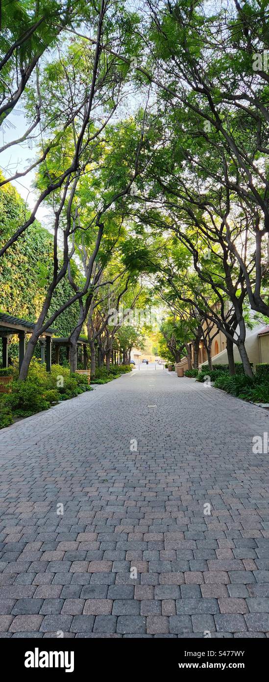 Sky walkway hi-res stock photography and images - Alamy