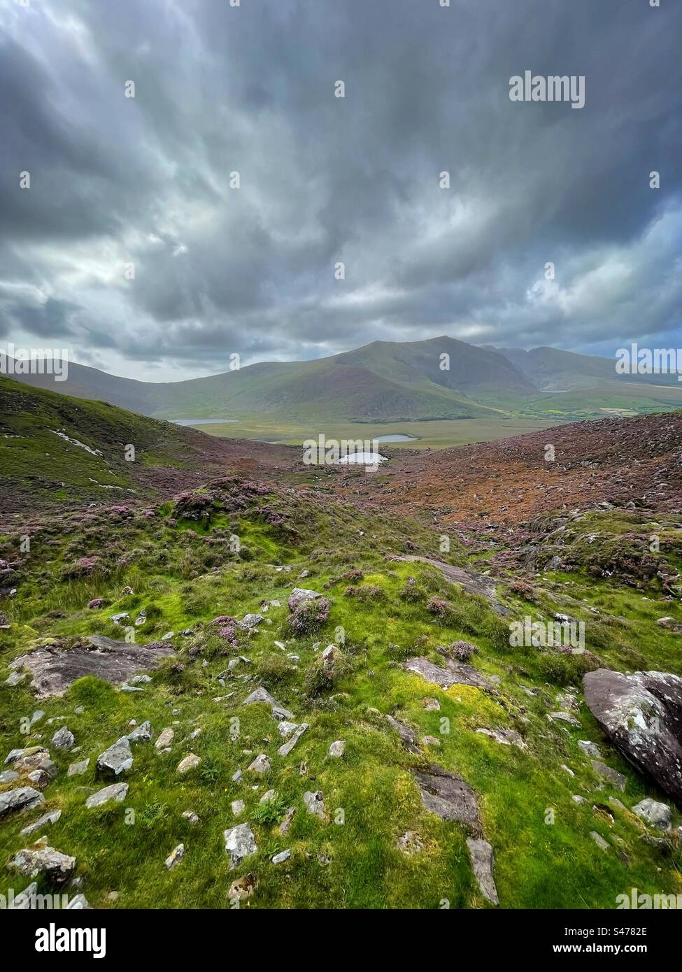 View from the Connor Pass, Dingle peninsula, County Kerry, Ireland ...