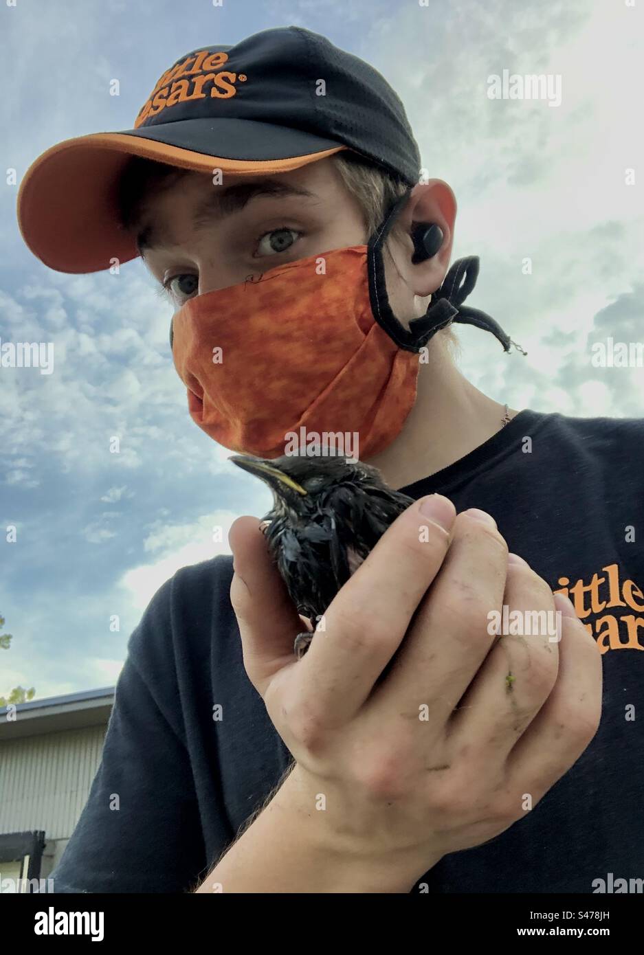 Saving the birds hi-res stock photography and images - Alamy