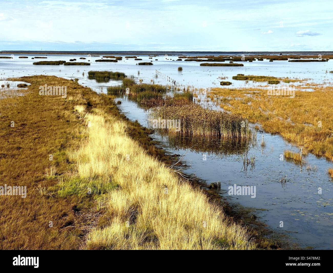 Finnish marsh hi-res stock photography and images - Alamy
