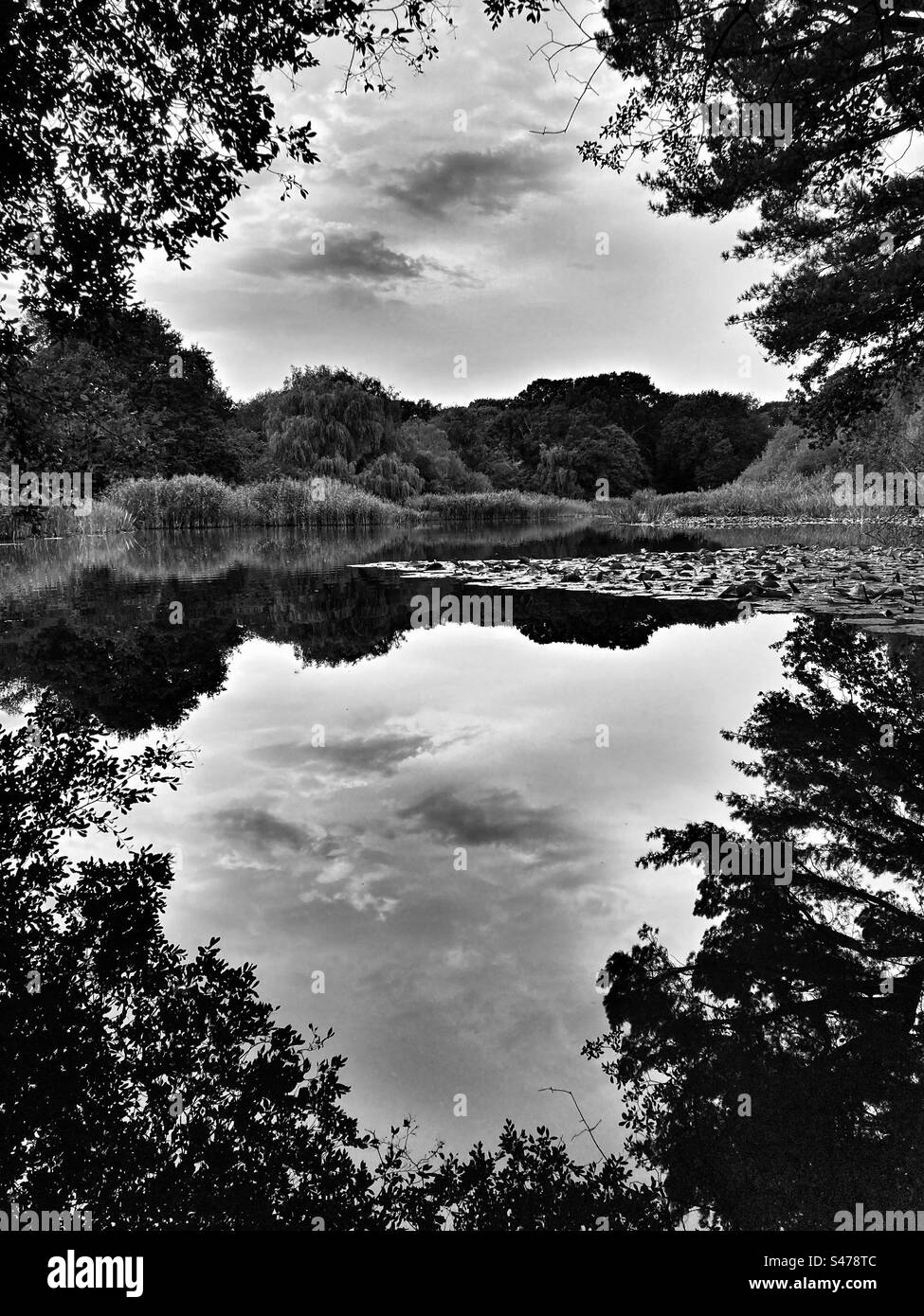 Monochromatic view of ornamental lake in Common park of Southampton,UK ...