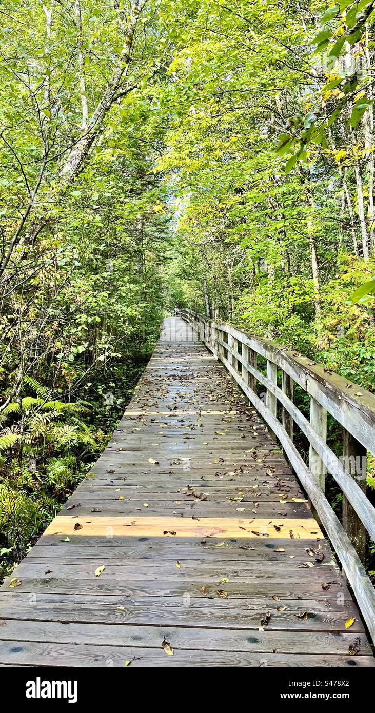 Pathway in nature hi-res stock photography and images - Alamy