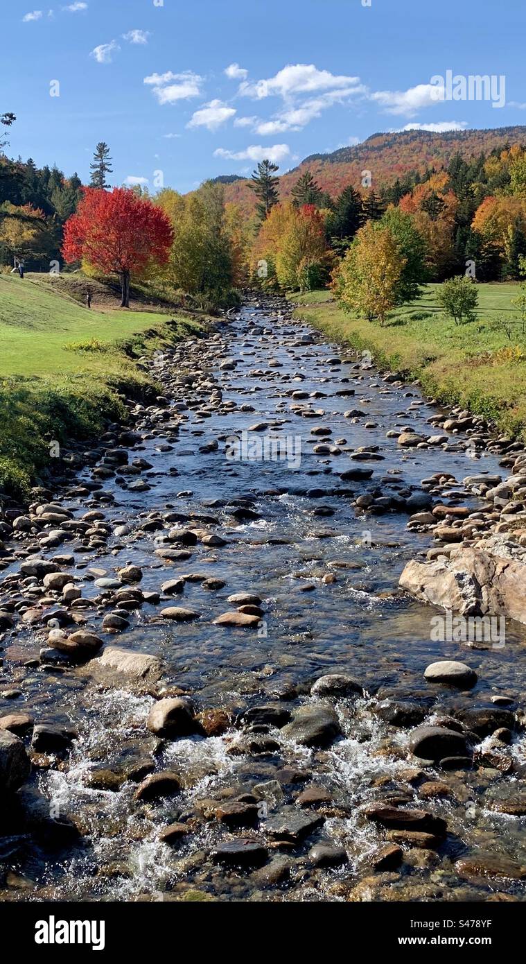 Stream in New Hampshire with fall foliage Stock Photo - Alamy