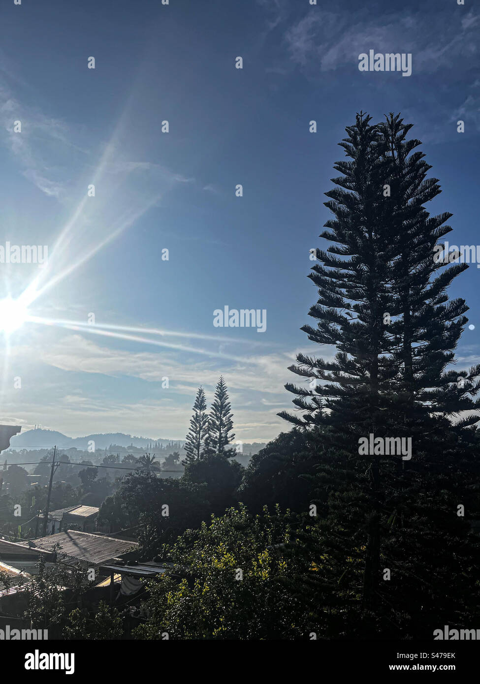 Mornings with nature hi-res stock photography and images - Alamy