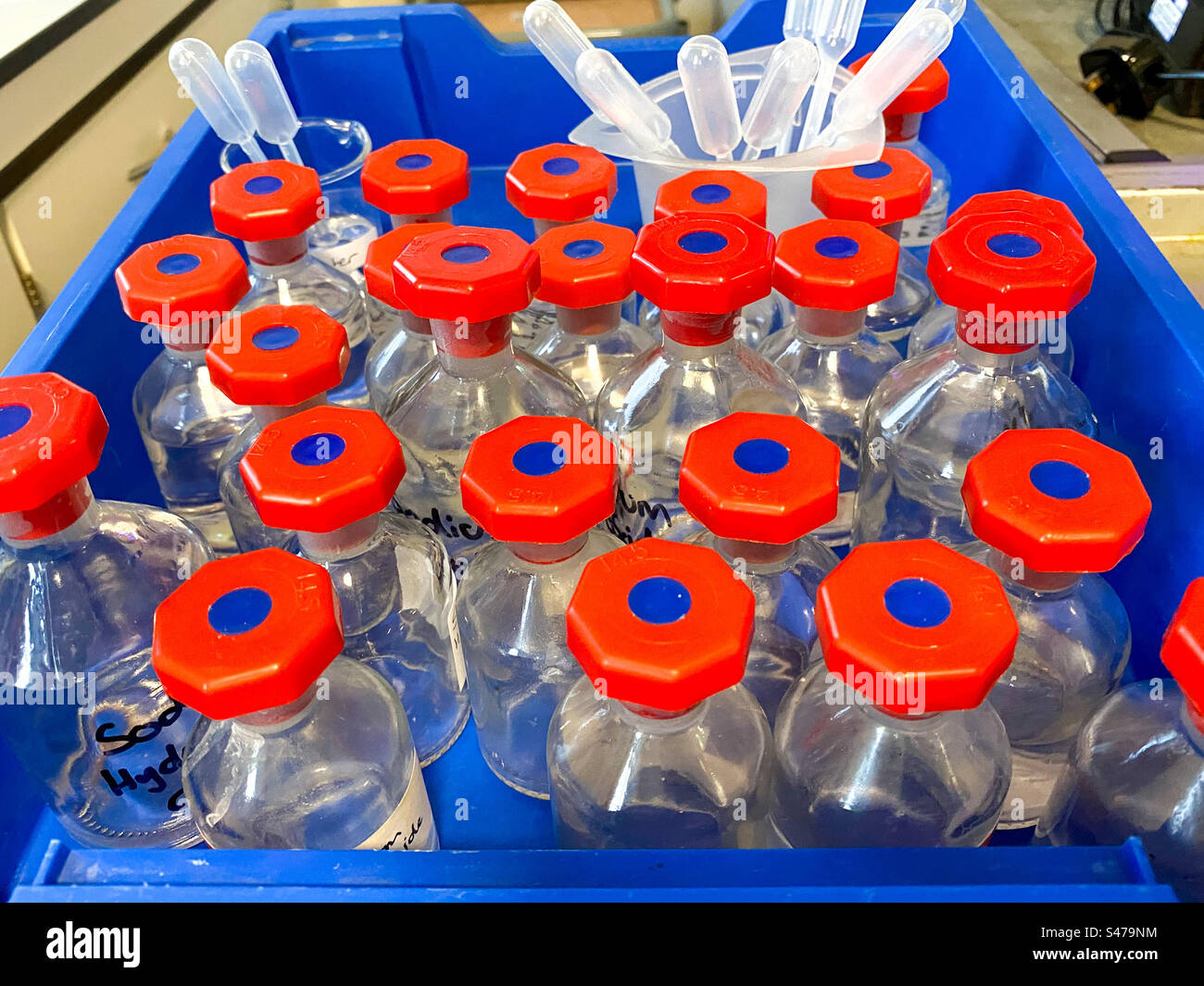 A blue tray containing glass bottles of solutions and pipets in a ...
