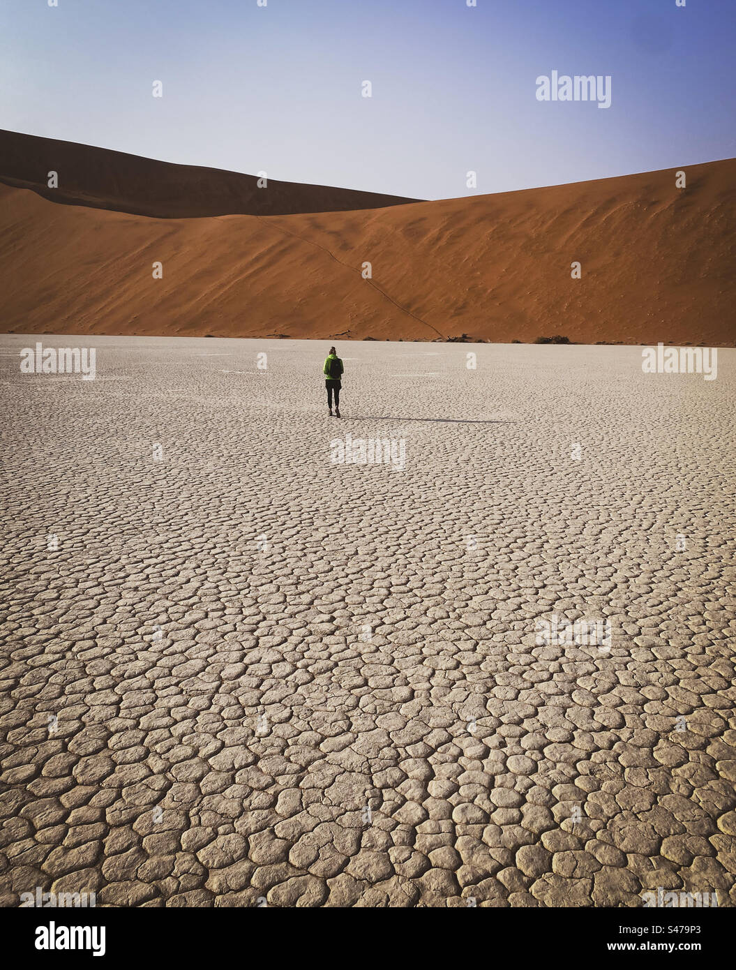 Vlei area hi-res stock photography and images - Alamy