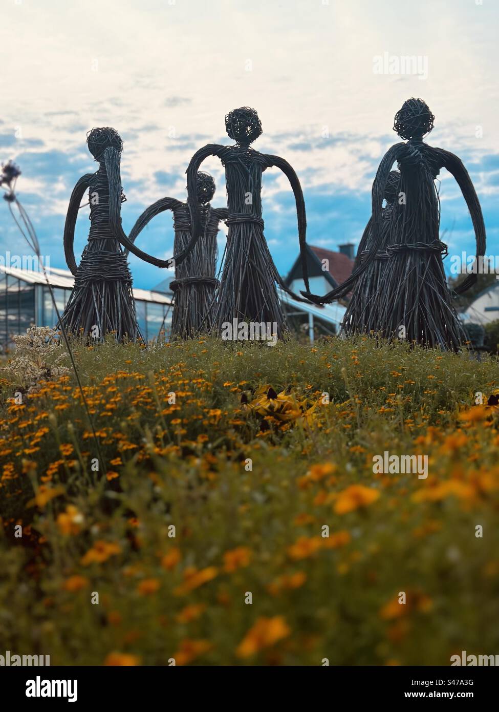 Dancing trees hi-res stock photography and images - Alamy