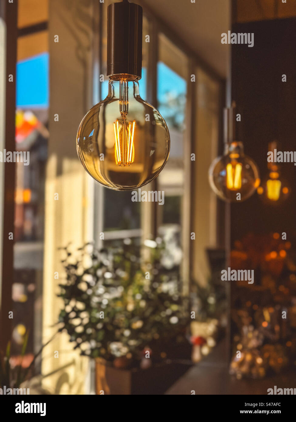 Flowers with lamps hi-res stock photography and images - Alamy