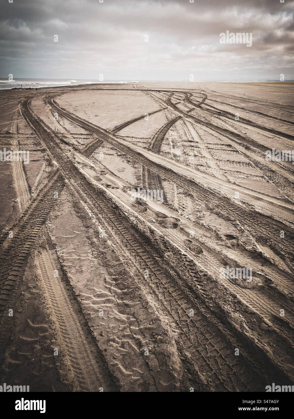 A mix of 4x4 tyre tracks in the soft sand on the Skeleton Coast in ...