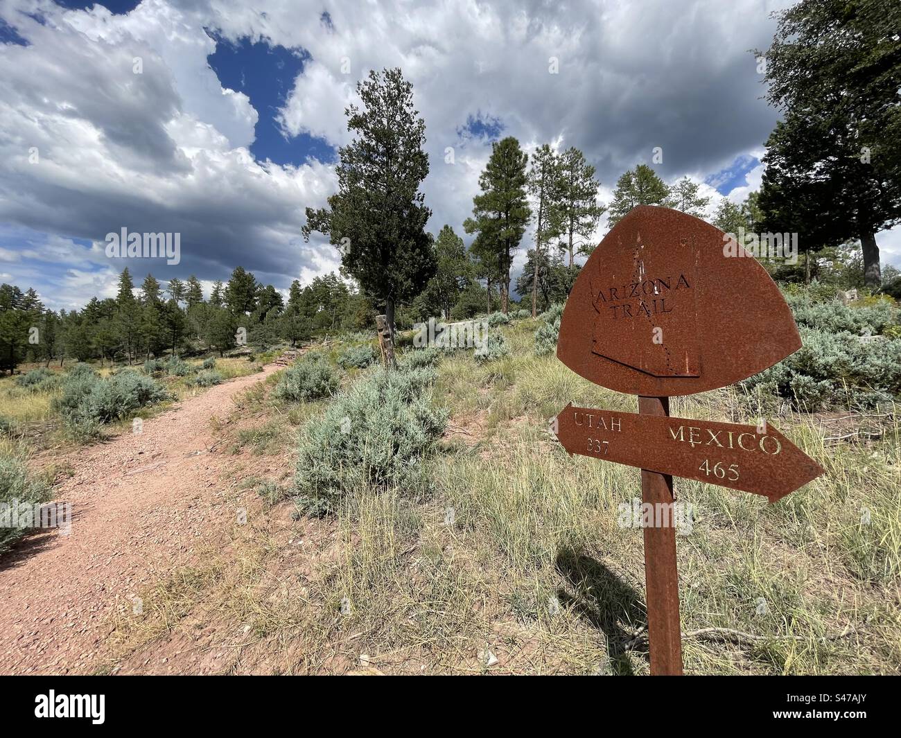 Mileage marker Arizona Trail, Pine View trailhead, Towering pine ...
