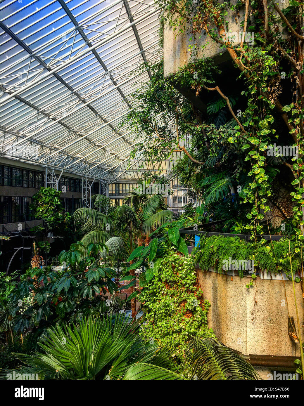 The barbican conservatory hi-res stock photography and images - Alamy