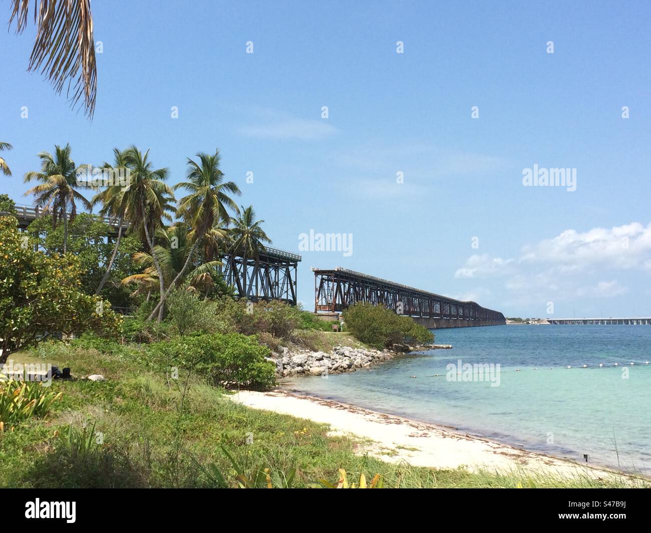 Palms bridge hi-res stock photography and images - Alamy