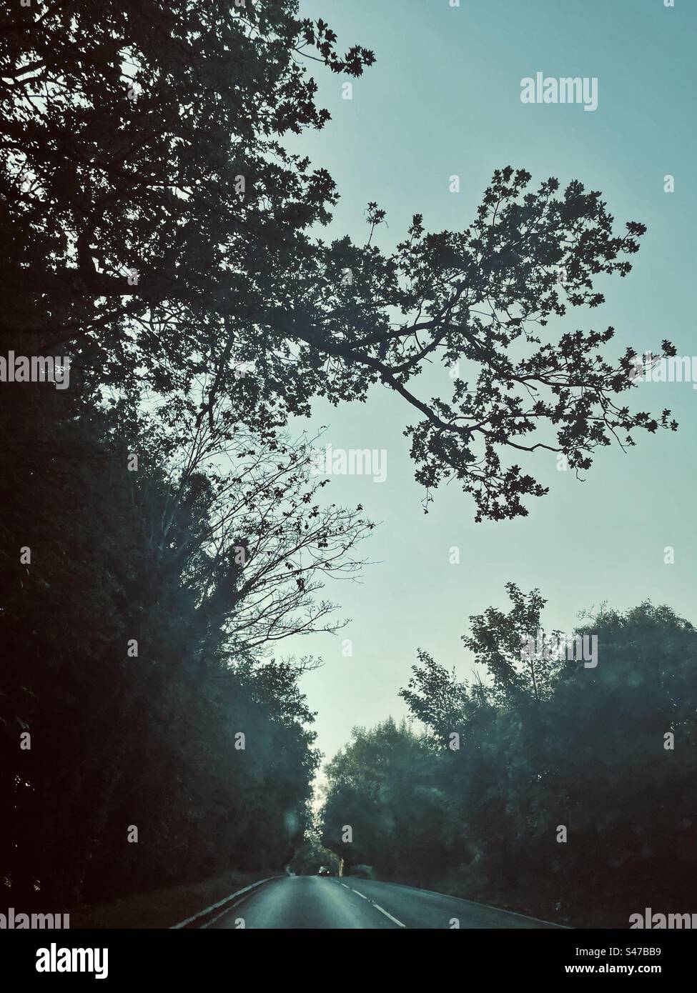 Beautiful long road view hi-res stock photography and images - Alamy