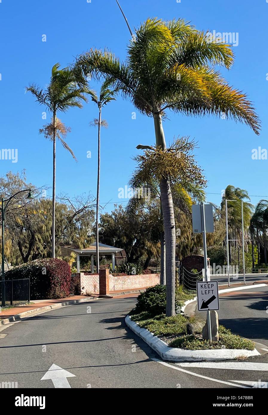 Tree-lined exit from the park Stock Photo - Alamy