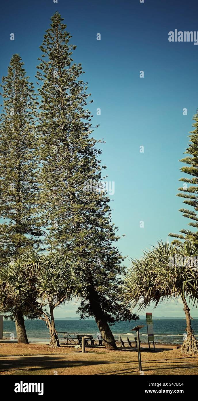 Lined outdoor steps hi-res stock photography and images - Alamy