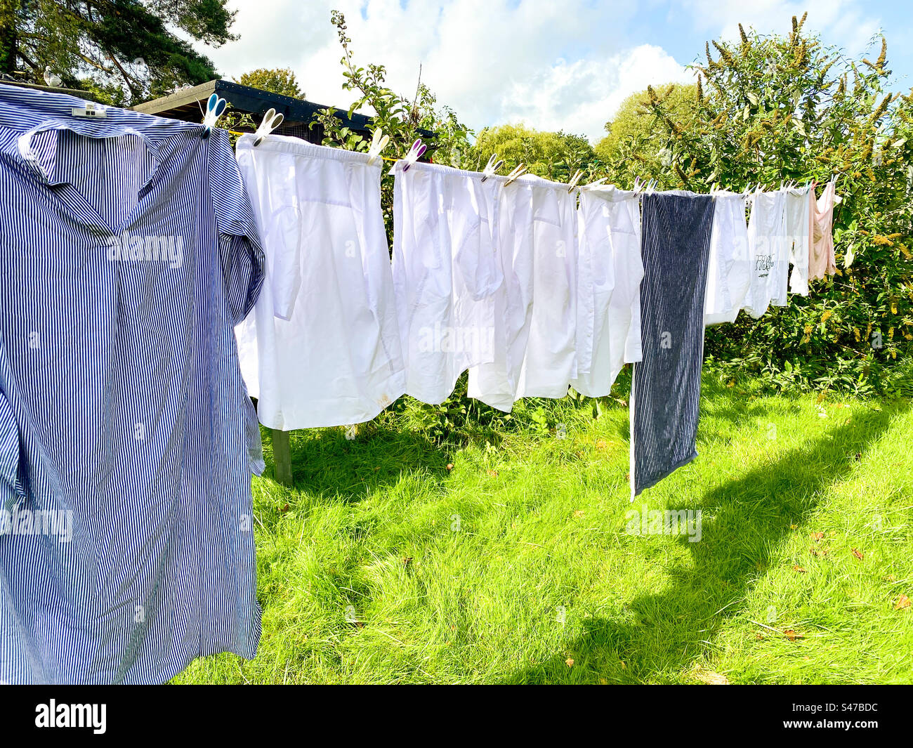 Laundry hanging on a washing line drying in a residential back garden ...