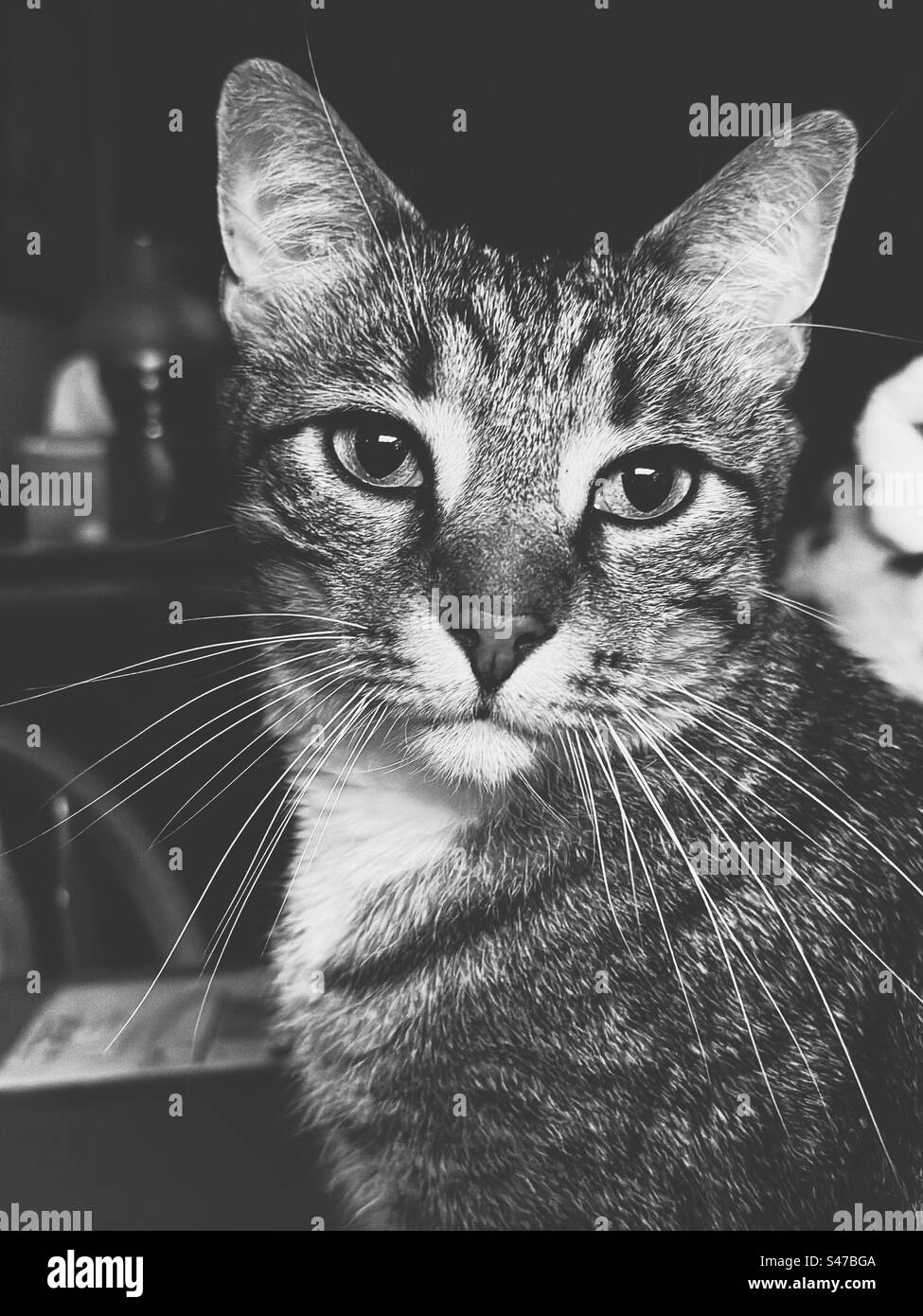 Faded black hi-res stock photography and images - Alamy