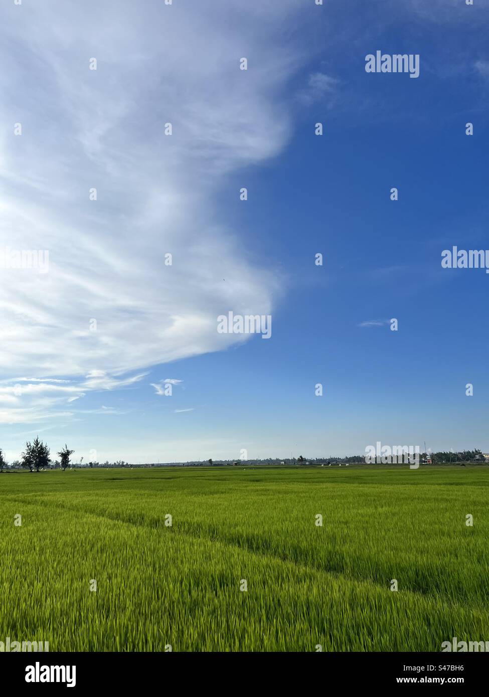 Beautiful paddy field hi-res stock photography and images - Alamy