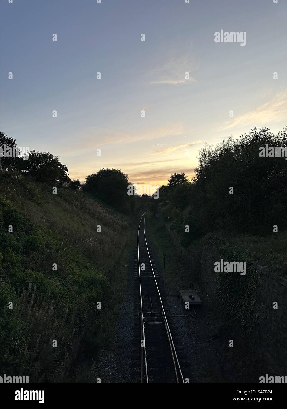 Tracks and trees hi-res stock photography and images - Alamy