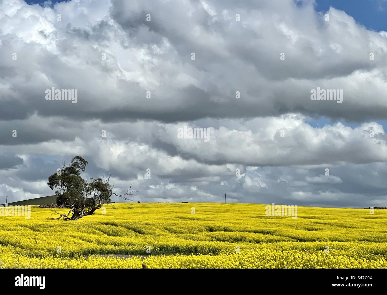 Big fields hi-res stock photography and images - Alamy
