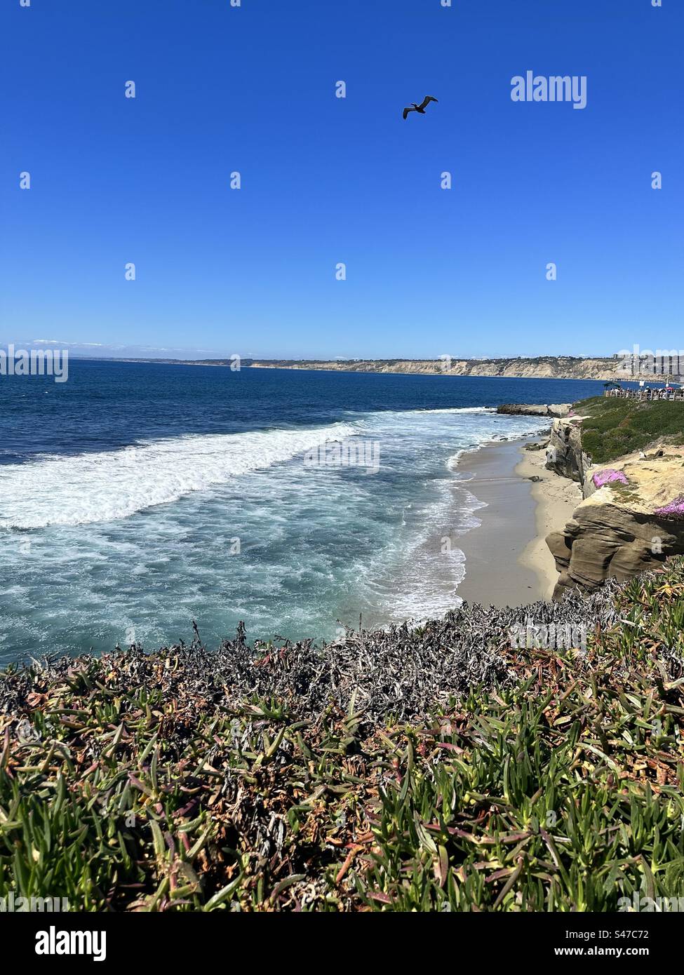California ocean hi-res stock photography and images - Alamy
