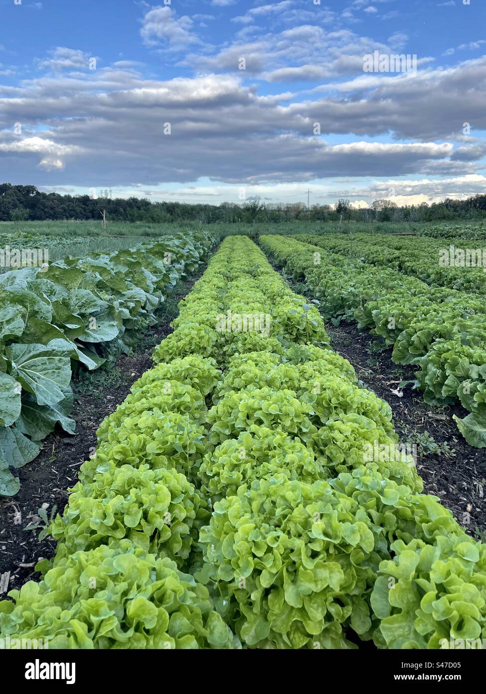 Bio farm hi-res stock photography and images - Alamy