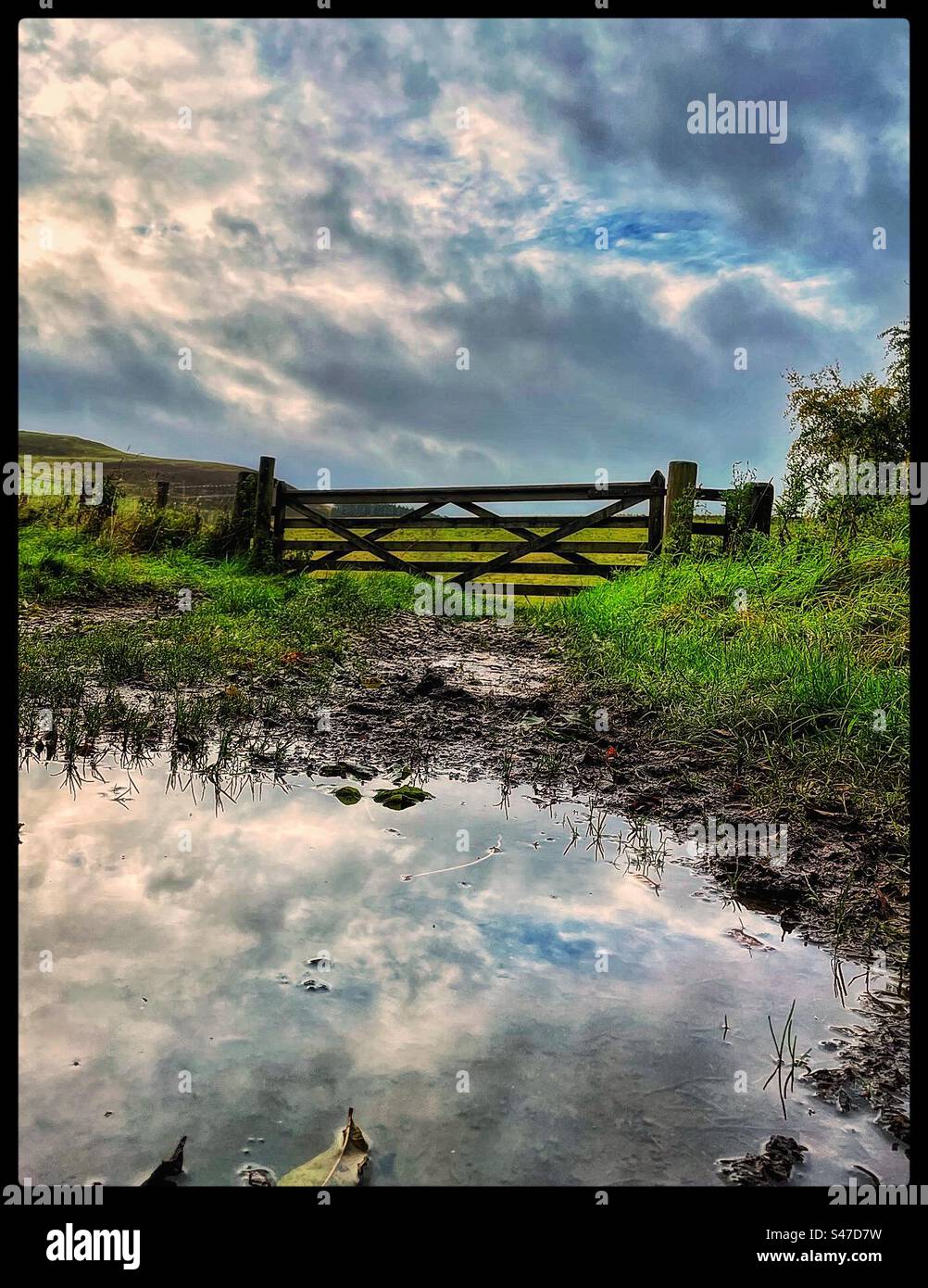 Reflection in mud puddle hi-res stock photography and images - Alamy