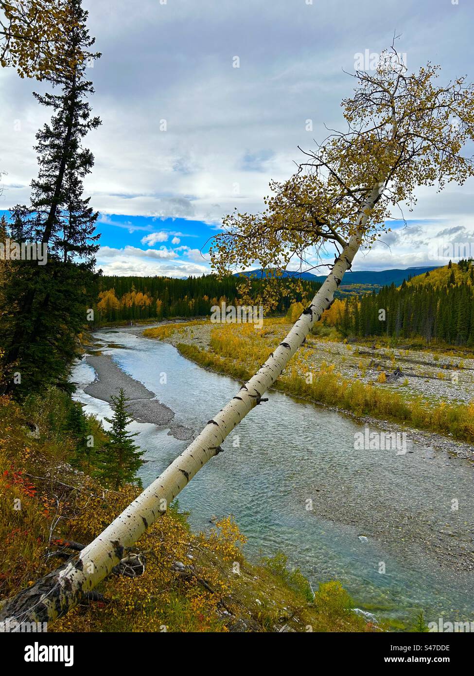 Autumn in Alberta, Canada, Kananaskis Country, along #66, season, fall ...