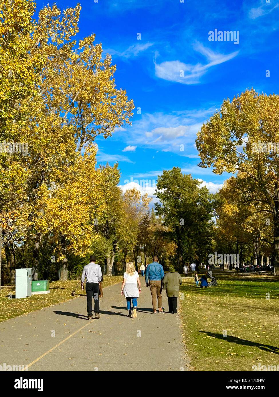 Calgary autumn city hi-res stock photography and images - Alamy