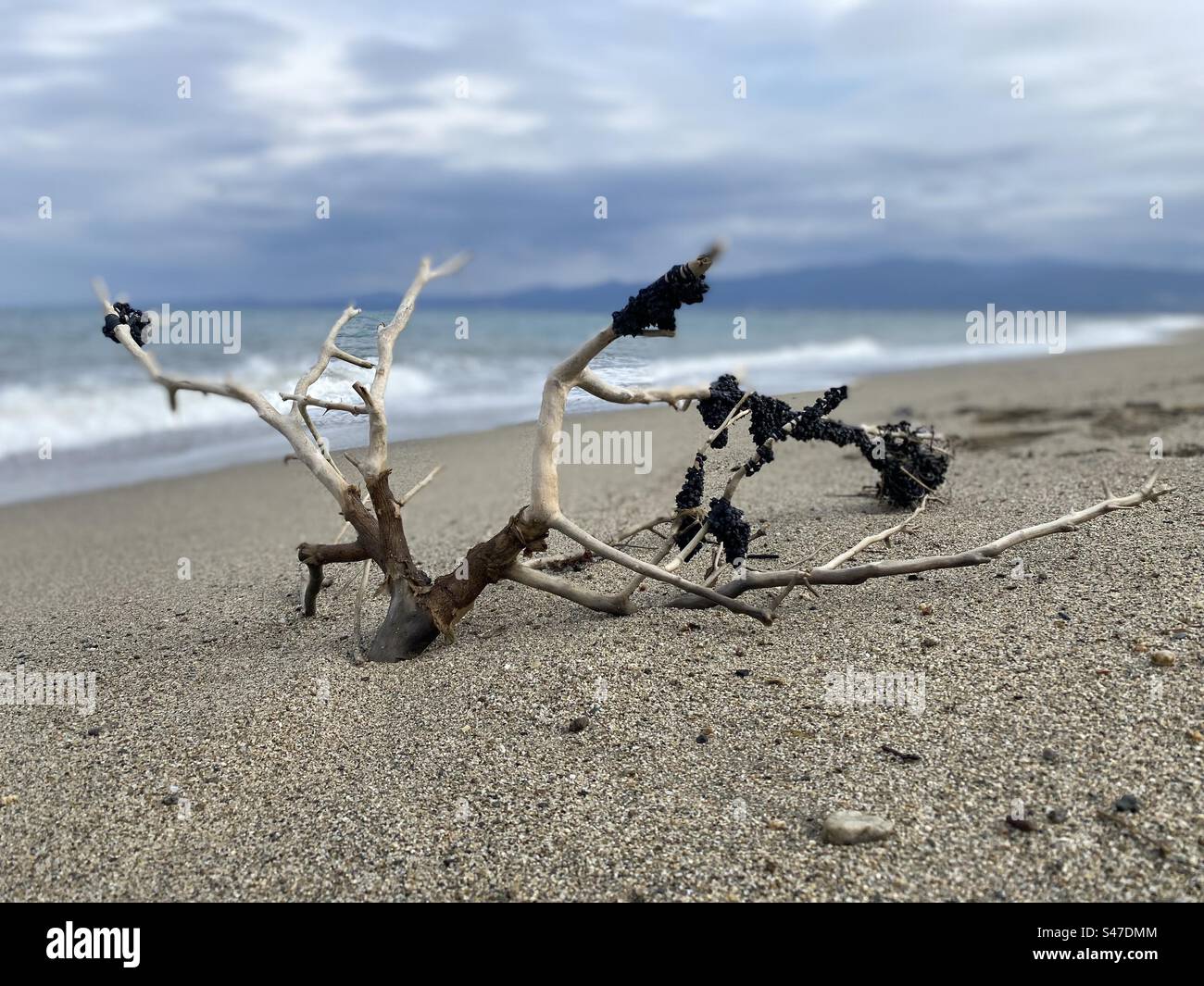 Cielo mare spiaggia hi-res stock photography and images - Alamy