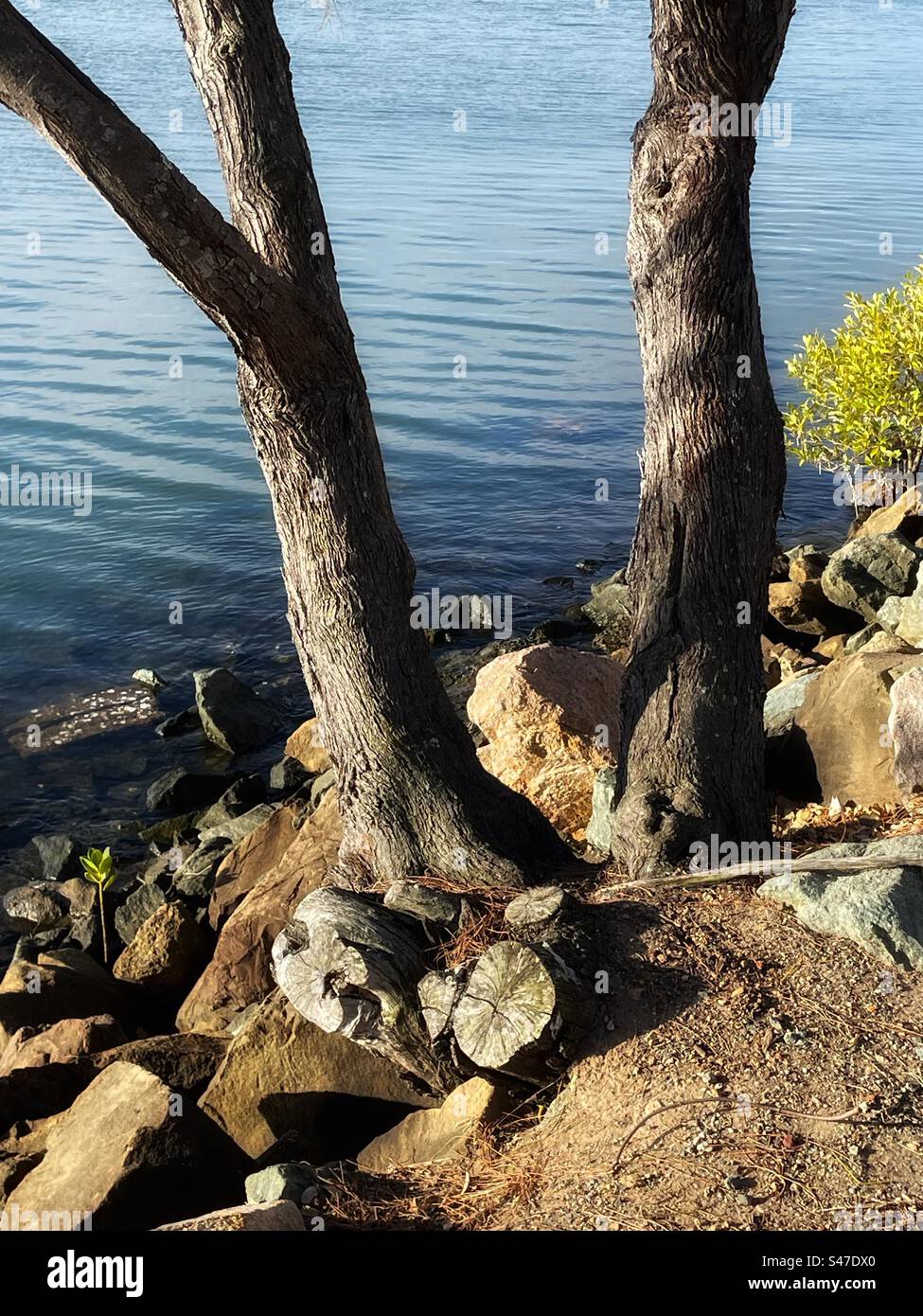 Little soil hi-res stock photography and images - Alamy