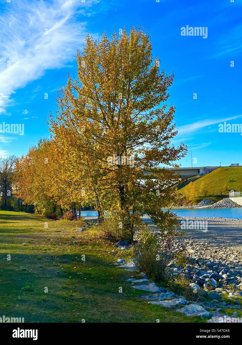Bowness park calgary hi-res stock photography and images - Alamy