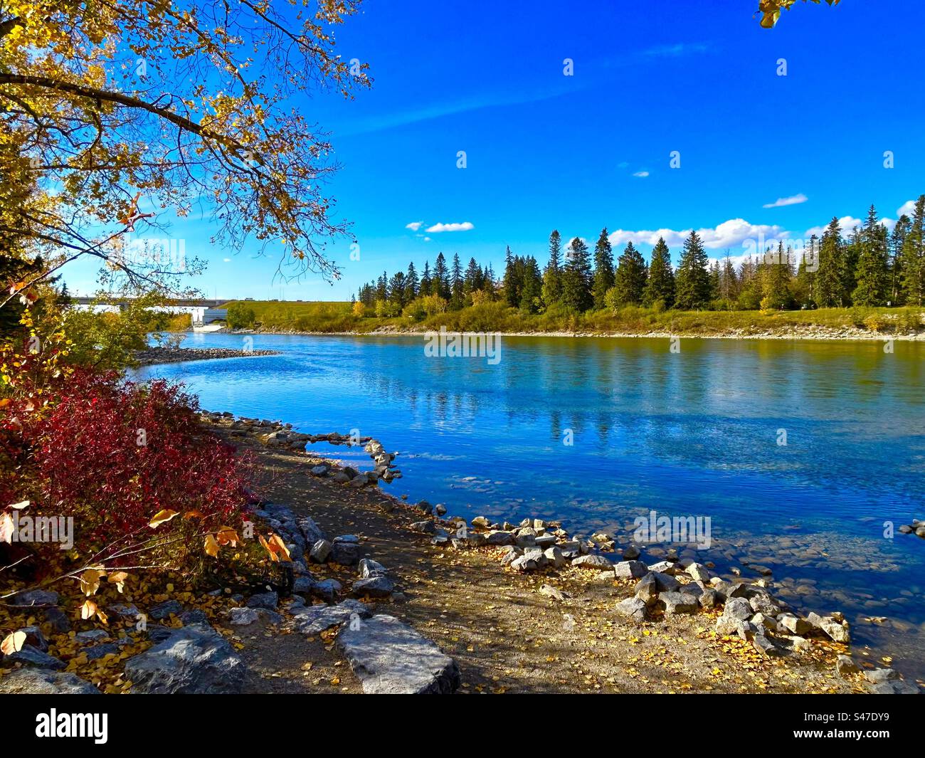 Evergreen calgary hi-res stock photography and images - Alamy
