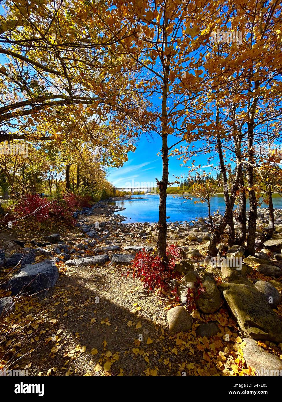Bowness park calgary hi-res stock photography and images - Alamy