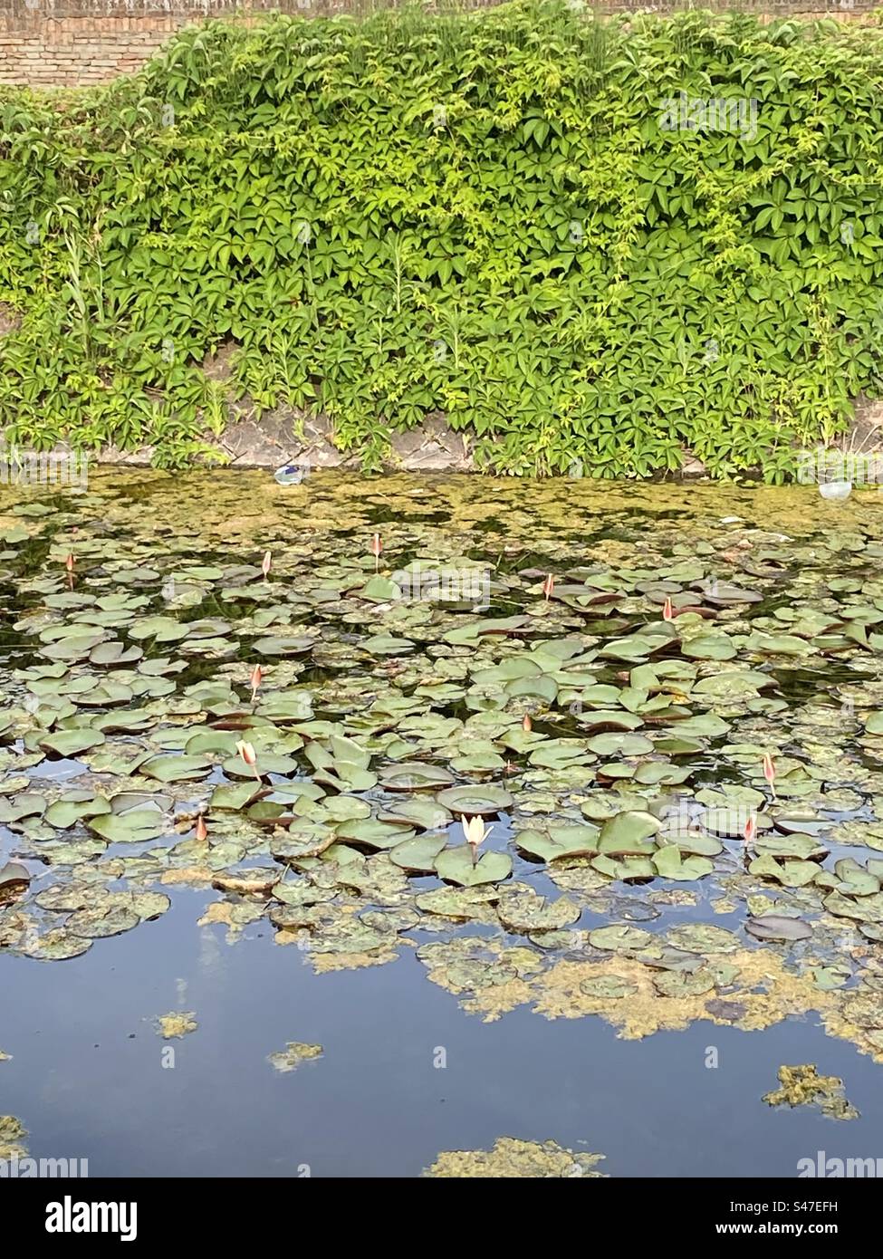 No mud hi-res stock photography and images - Alamy