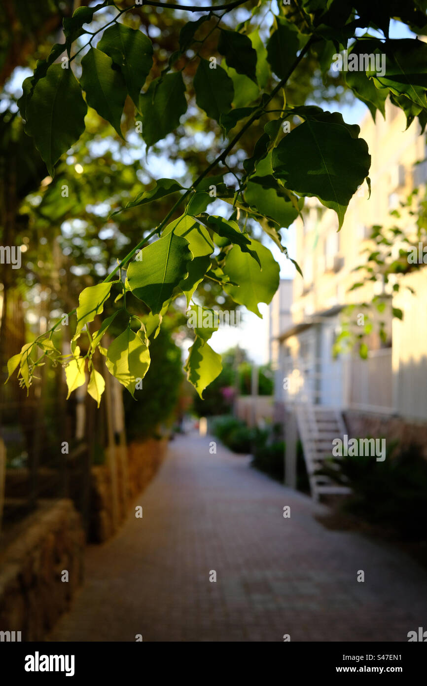 Vertical street view hi-res stock photography and images - Alamy