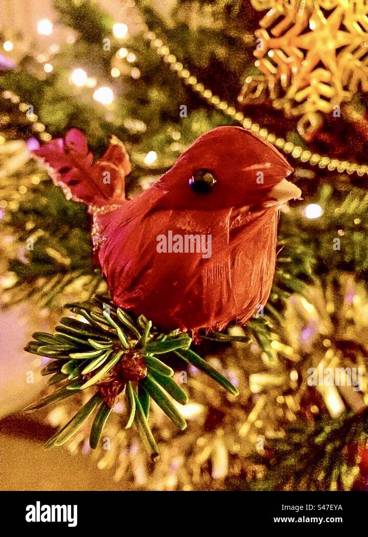 Robin ornament christmas hi-res stock photography and images - Alamy