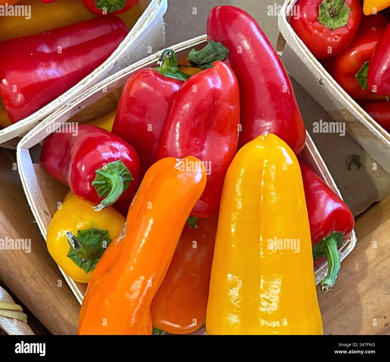 Mini peppers for sale at a farmers produce stand in New England, 2023 ...