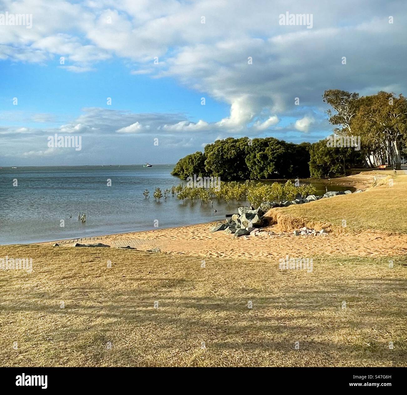 Sandy track to area of mangrove trees Stock Photo - Alamy
