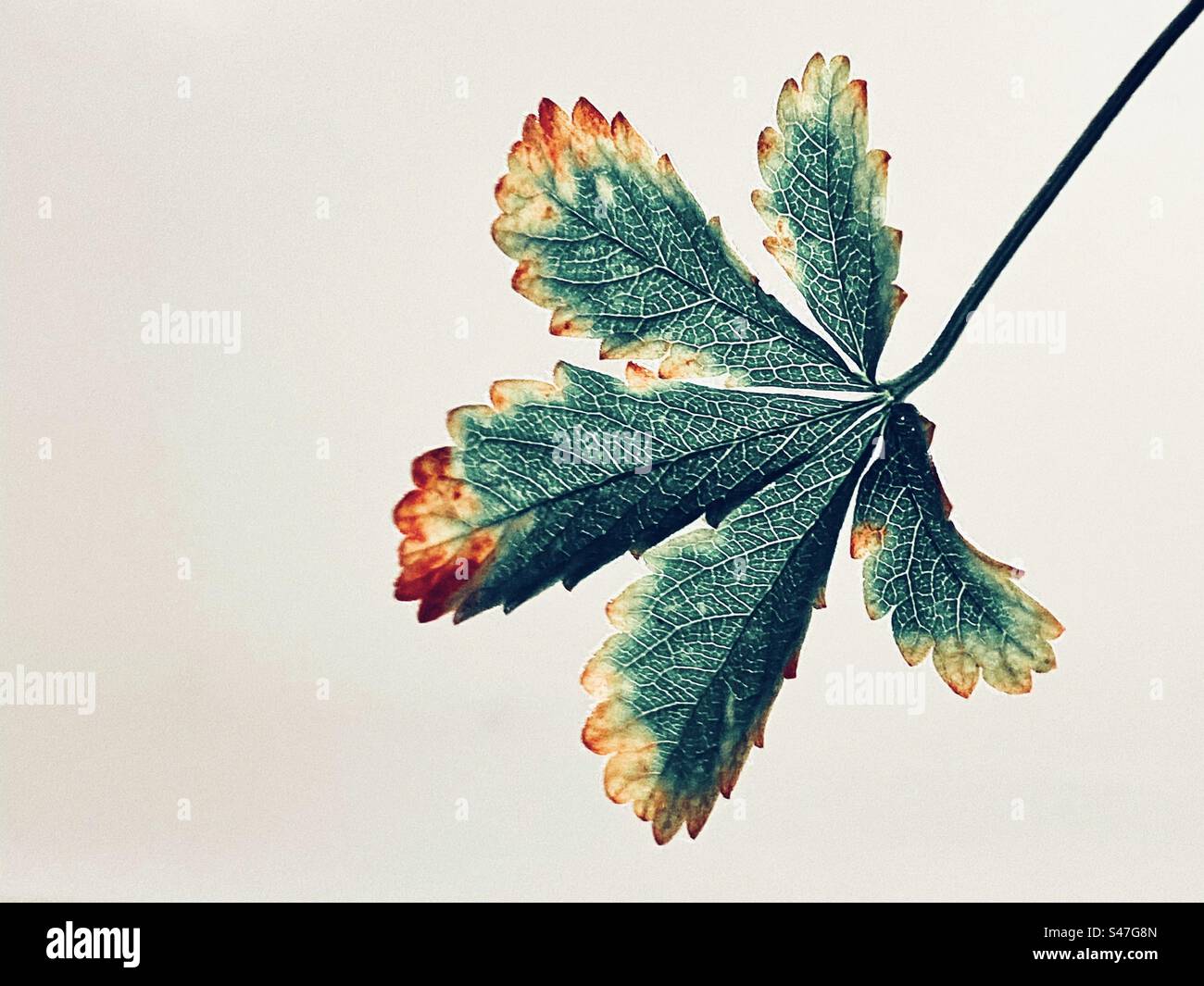True colours hi-res stock photography and images - Alamy