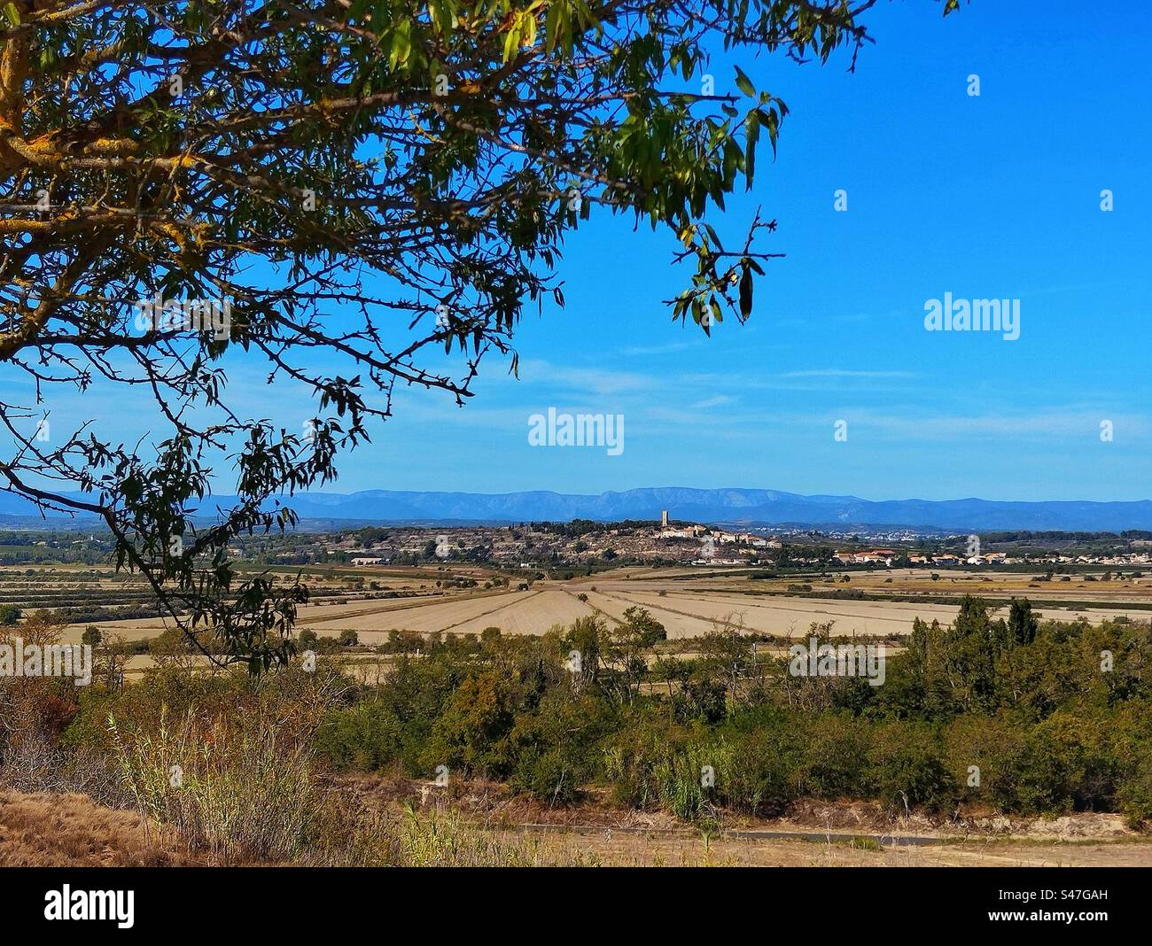 Dry pond of Montady. Occitanie, France Stock Photo - Alamy